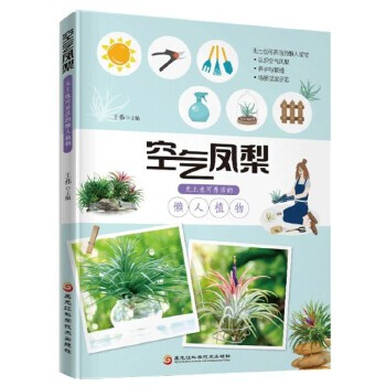 空气凤梨：无土也可养活的懒人植物