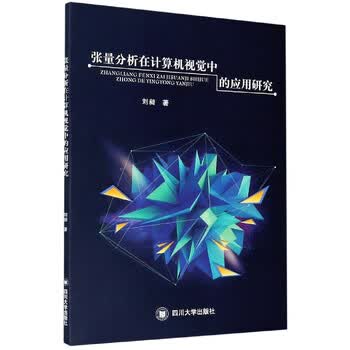 张量分析在计算机视觉中的应用研究
