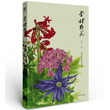 崇礼野花 9787504672186 中国科学技术出版社 刘华杰