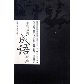 活用成语辞典