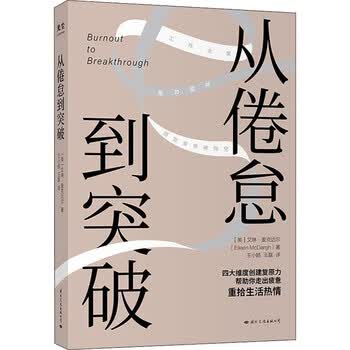 从倦怠到突破 (美)艾琳·麦克达尔   王小皓,王磊 译 书籍