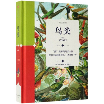 鸟类(精)/纸上景观