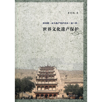 世界文化遗产保护9787561853092单霁翔天津大学出 单霁翔