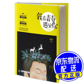 我在青春遇见你