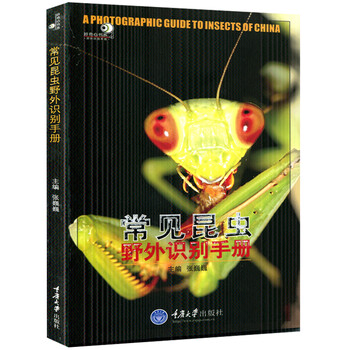 好奇心书系常见昆虫野外识别手册昆虫爱好者和从事林业和检疫相关工作读者户外探险荒野求生昆虫识别书籍