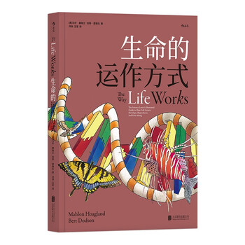 生命的运作方式