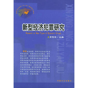 新型经济犯罪研究