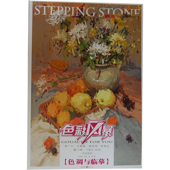 色彩风暴 色彩与临摹【正版图书】