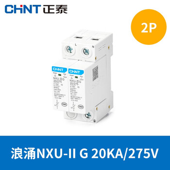 正泰（CHINT）浪涌保护器 NXU-ⅡG电源防雷器 电涌防雷开关 家用避雷器 二级 NXU-II G 20kA/275V 2P【图片 价格 ...