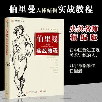 现货正版 伯里曼结构教学 人物速写入门书基础绘画临摹 速写描摹本书籍透视技法自学头像美术艺术