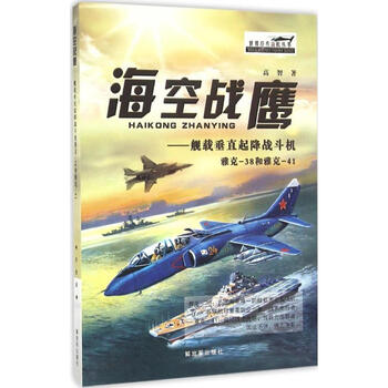 海空战鹰 高智  书籍