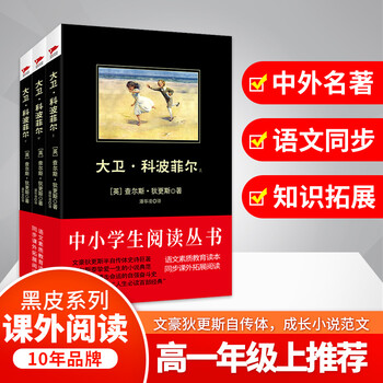 大卫·科波菲尔 (英)查尔斯·狄更斯(Charles Dickens) ;潘华凌 译 作 书籍