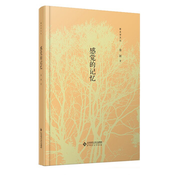 感觉的记忆