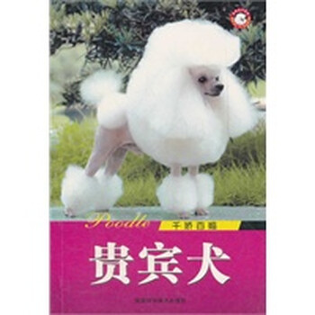 千娇百媚贵宾犬 世界名犬系列