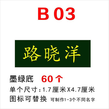 定制迷彩软姓名牌贴学生幼儿园名字贴可缝熨烫体能衣服名字条防丢布标签防水 B14荒漠