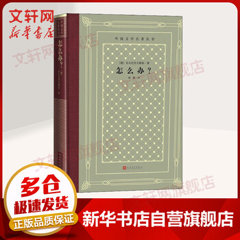 怎么办？ 外国文学名著丛书