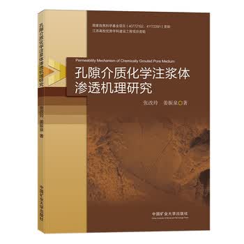 孔隙介质化学注浆体渗透机理研究