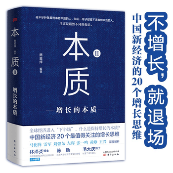本质2：增长的本质 中国新经济20个值得关注的增长思维 正和岛施星辉著