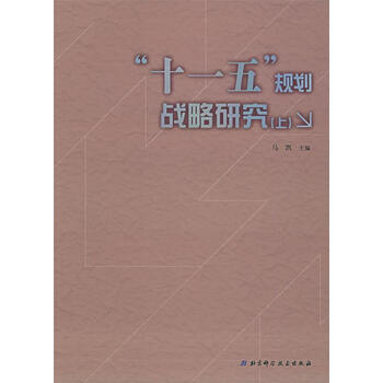 “十一五”规划战略研究