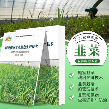 画说棚室韭菜绿色生产技术 种菜书籍大全 大棚韭菜种植技术大全蔬菜种植书籍 蔬菜病虫害防治蔬菜病虫害诊断与防治农业书籍