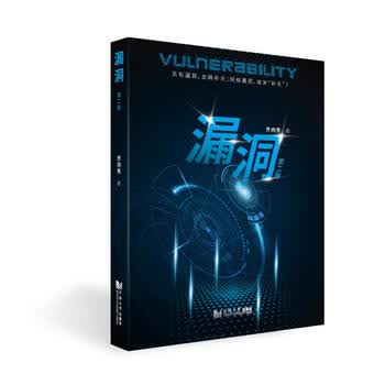 漏洞 第2版 图书