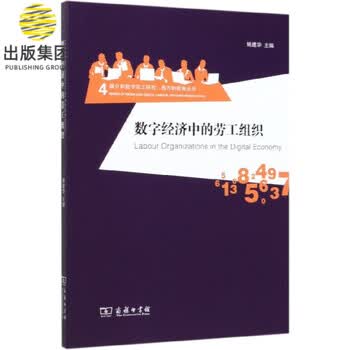 数字经济中的劳工组织/媒介和数字劳工研究西方的视角丛书