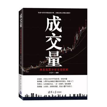 成交量:典型股票分析全程图解