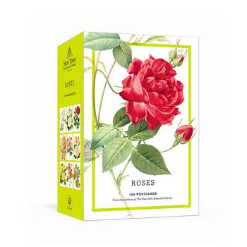 Roses: 100 Postcards from the Archives of The New York Botanical Garden 玫瑰:纽约植物园档案馆 100张明信片 英文原版书