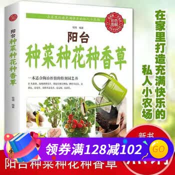 阳台种菜种花种香草