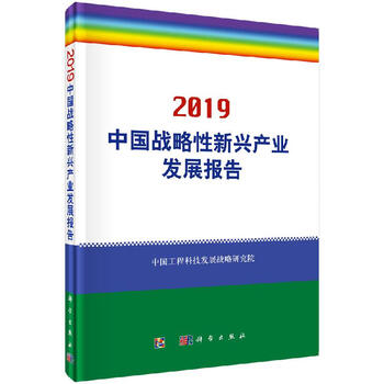中国战略性新兴产业发展报告2019