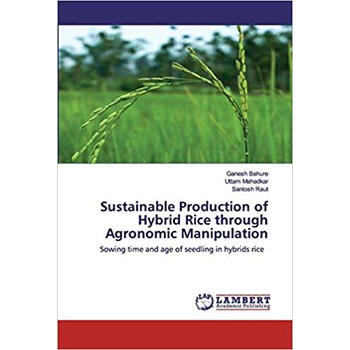 Sustainable Production of Hybrid Rice through Ag