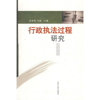 行政执法过程研究【正版图书，放心下单】