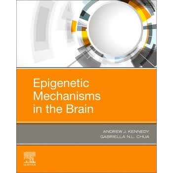 Epigenetic Mechanisms in the Brain