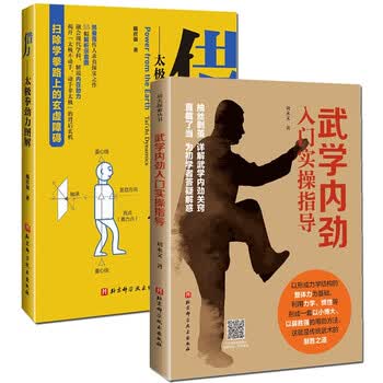 武学内劲入门实操指导 刘永文+借力 太极拳劲力图解 内家与外家劲力 气与脊椎的关系 太极拳入门书籍太
