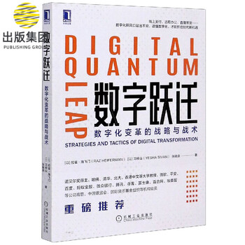 数字跃迁(数字化变革的战略与战术)