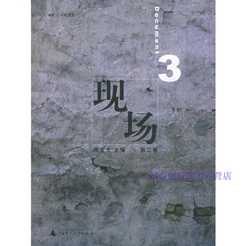 现场(第三卷) 吴文光
