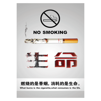 禁烟公益广告文化宣传画挂图标语海报禁止吸烟您已进入无烟场所控烟招贴画覆膜防水贴纸TYH TYH30 禁烟宣传画 40*30厘米 覆膜防水PP贴纸