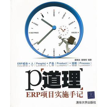 P道理:ERP项目实施手记 童继龙,童继明　编著【正版书】