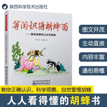 等闲识得胡封面——图说胡蜂的认识和预防