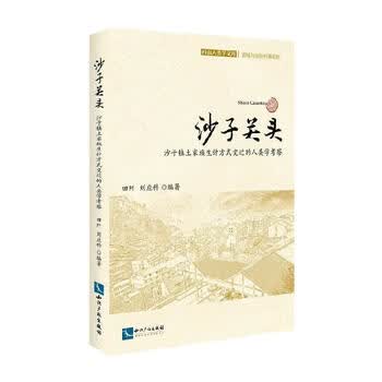 沙子关头【正版图书，放心下单】
