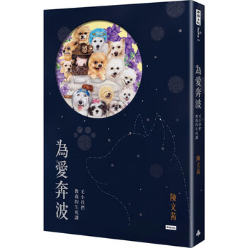 现货【外图台版】为爱奔波/陈文茜