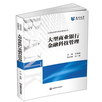 大型商业银行金融科技管理 王祖继,许一鸣
