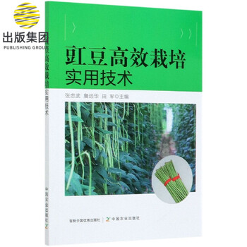 豇豆高效栽培实用技术
