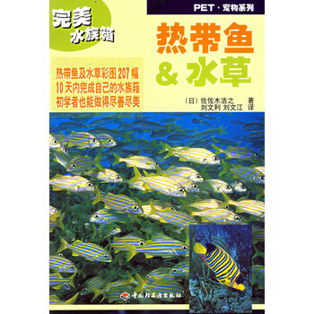 热带鱼 水