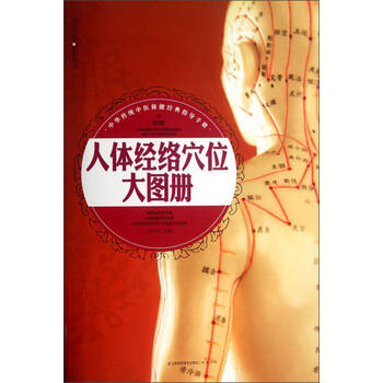 人体经络穴位大图册 吴中朝 编 江苏科学技术出版社