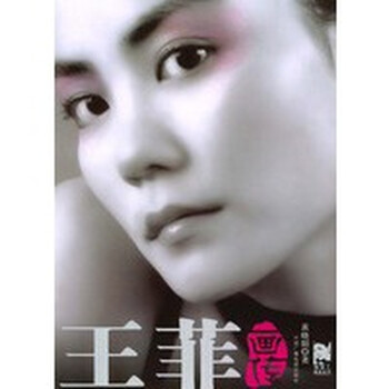 王菲画传 俏佳人画报系列