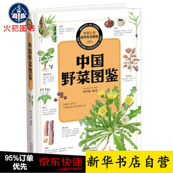 中国野菜图鉴/中国之美自然生态图鉴