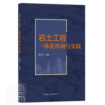 RT现货包邮 岩土工程一体化咨询与实践杨石飞中国建筑工业出版社9787112260195 岩土工程