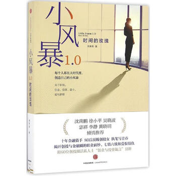 小风暴1.0 肖茉莉 著 中信出版社