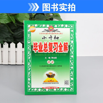 20221新版薛金星小升初毕业总复习六年级下册小学教材 语文数学英语科学学习辅导教育资料 语文总复习